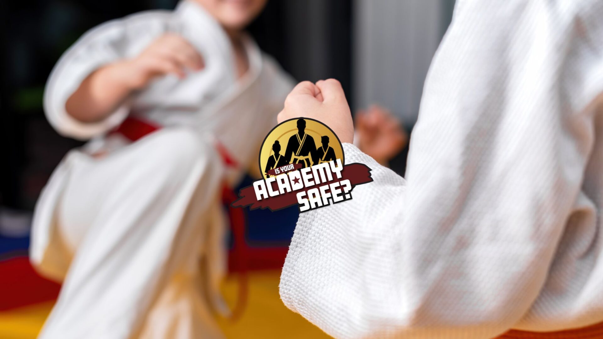 Why Martial Arts Safety Standards Are More Important Than Ever ...